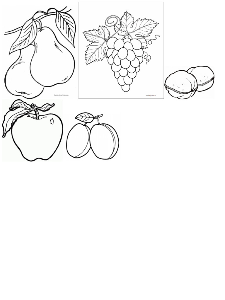 Fructe de Toamna PT Cos | PDF