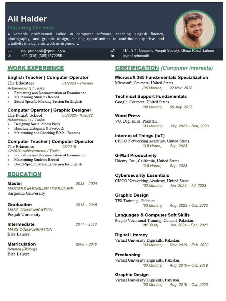 Ali Haider CV RL | PDF | Computing