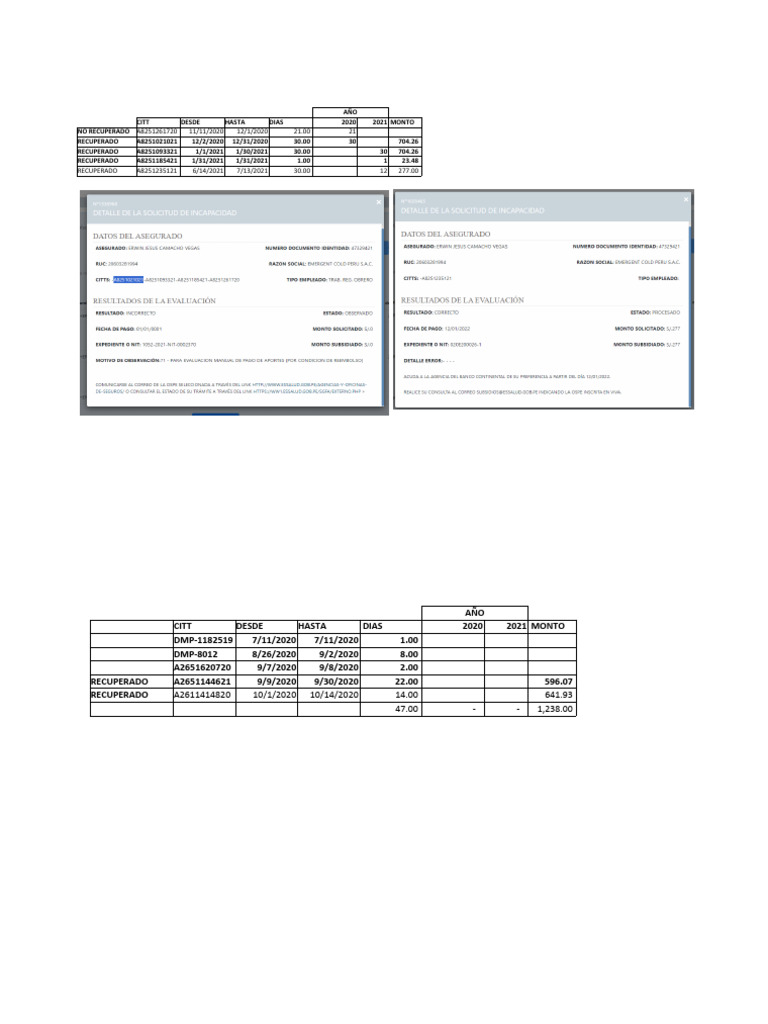 Reporte de Subsidios Individual | PDF | Technology & Engineering