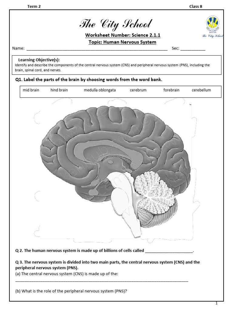 2.1.1 Worksheet | PDF