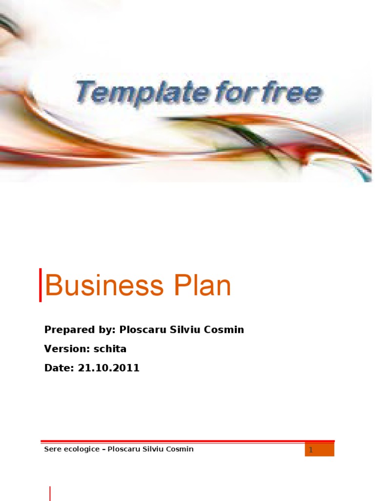 Business Plan Template 1.0 | PDF | Sales | Strategic Management