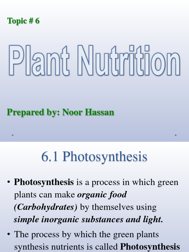 Topic # 6 Plant Nutrition | PDF | Leaf | Photosynthesis