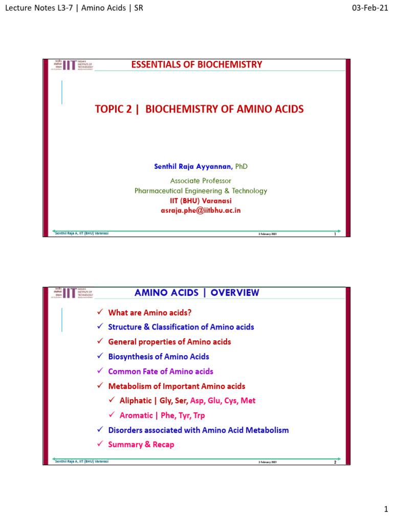 CY103 SR T2 Amino Acids L3-7 Final | PDF | Amino Acid | Transaminase