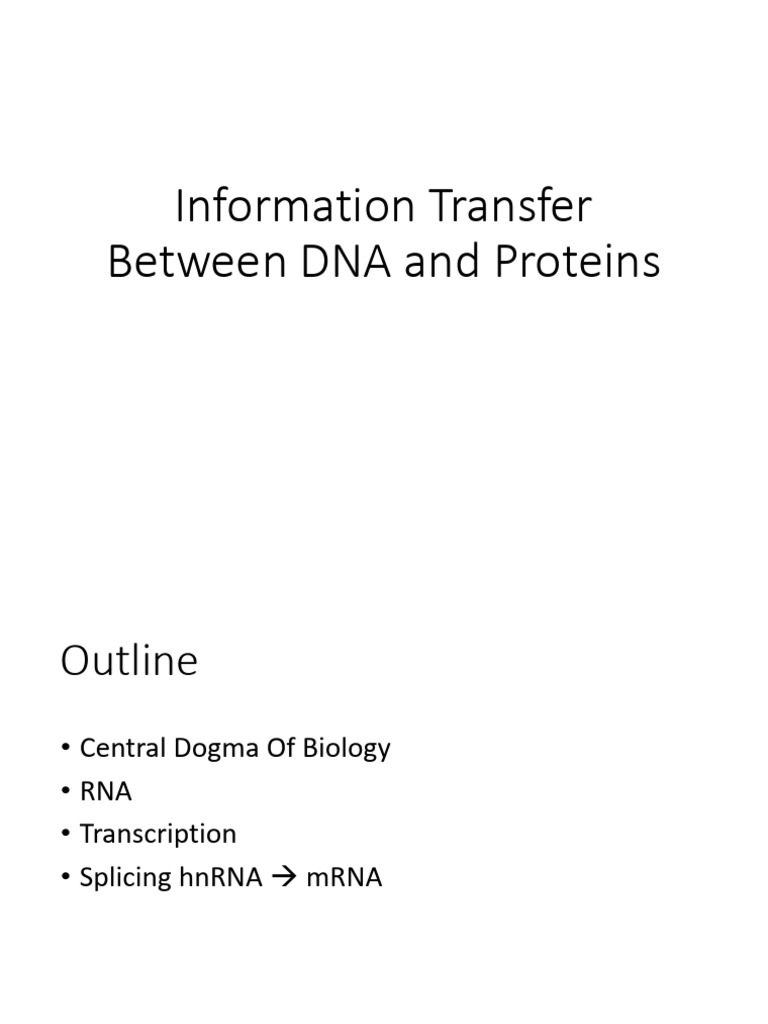 Central Dogma: DNA to Protein Process | PDF | Rna | Rna Splicing