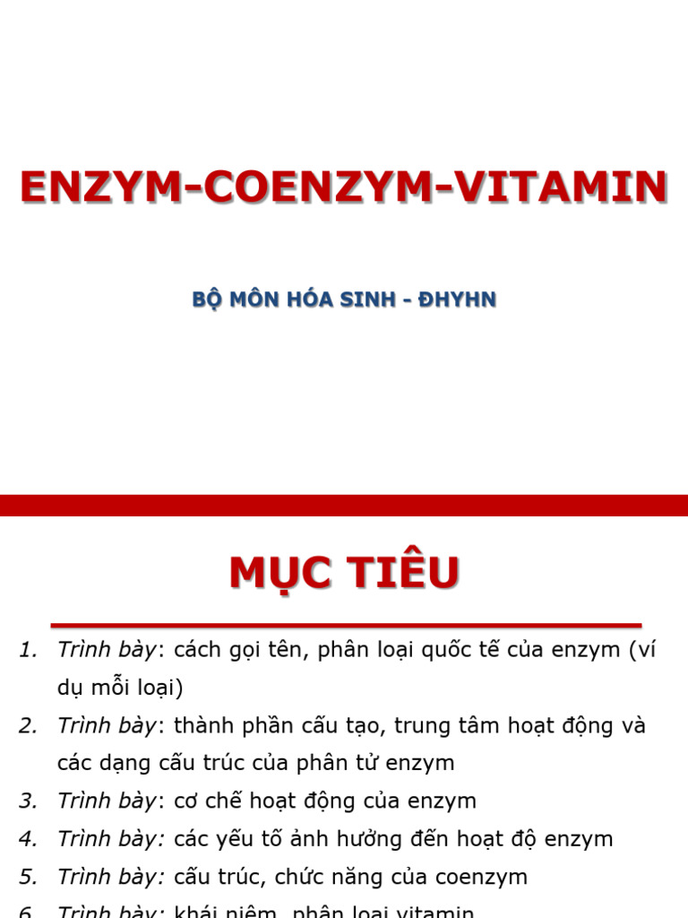 S1.2 - LEC 10 - Enzyme - Coenzym - Vitamin | PDF