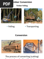 Timber Conversion | PDF