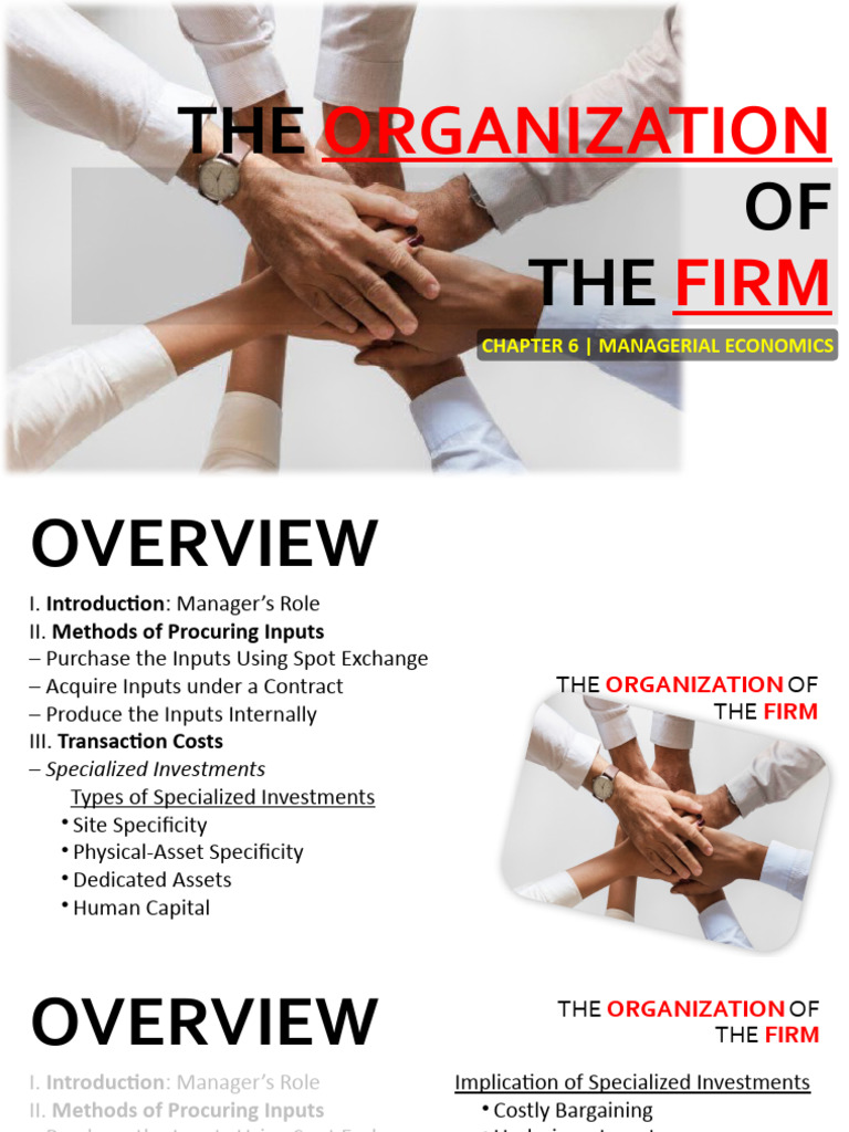 The Organization of The Firm | PDF