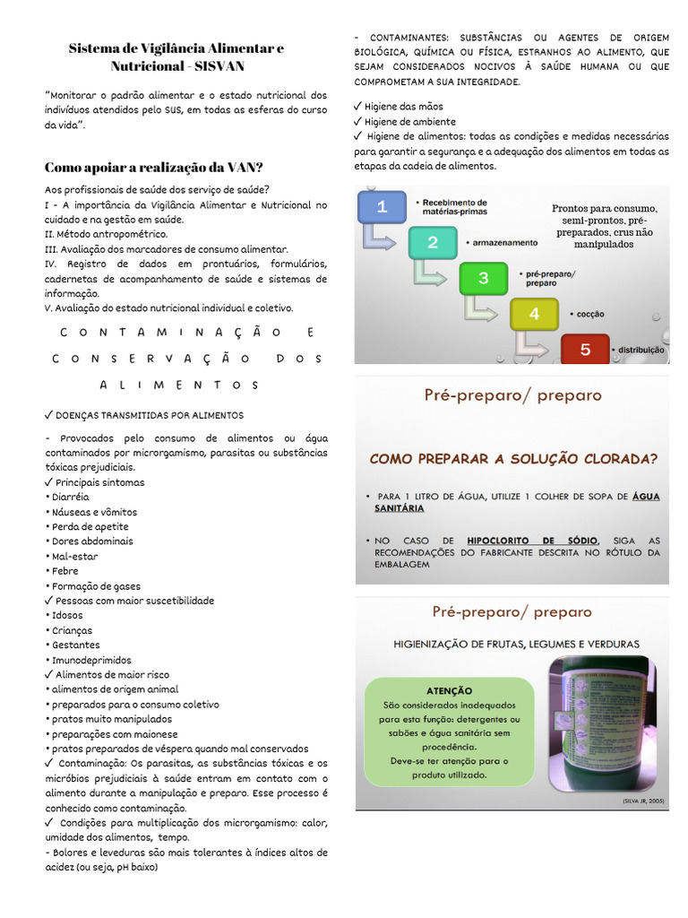 Vigilância Alimentar e Nutricional no SUS | PDF