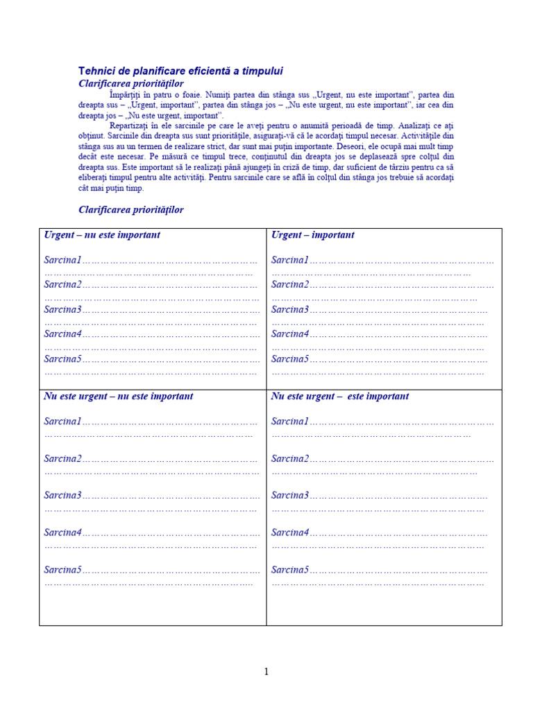 Provocari Fisa de Lucru Centru de Asistenta | PDF