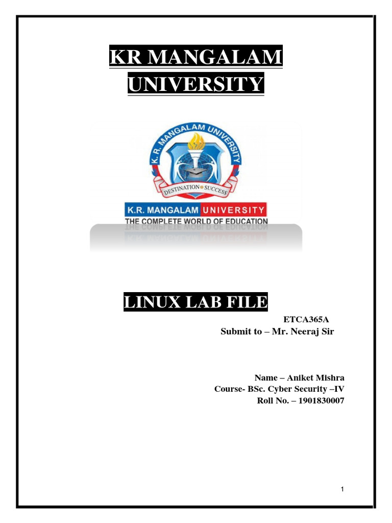Linux Lab File | PDF