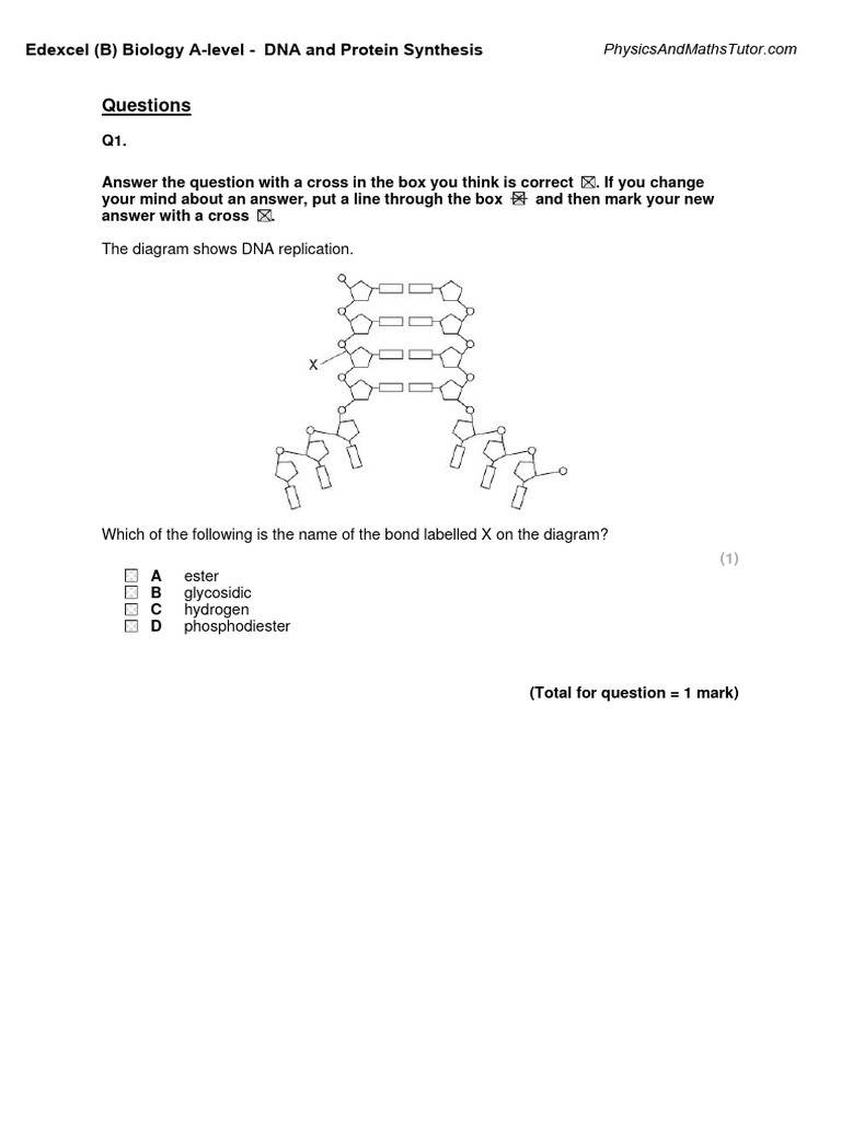 1.4 DNA and Protein Synthesis | PDF | Biosynthesis | Dna