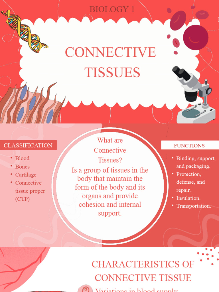 Connective-tissues | PDF