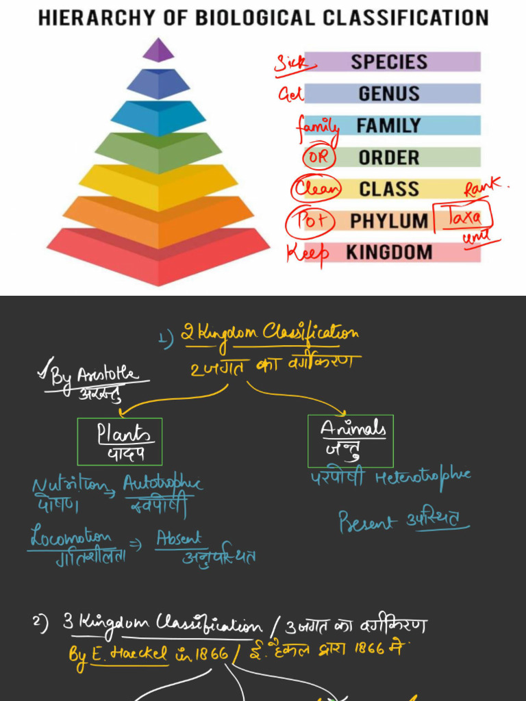 5 Kingdom Classification 20230624043344 | PDF