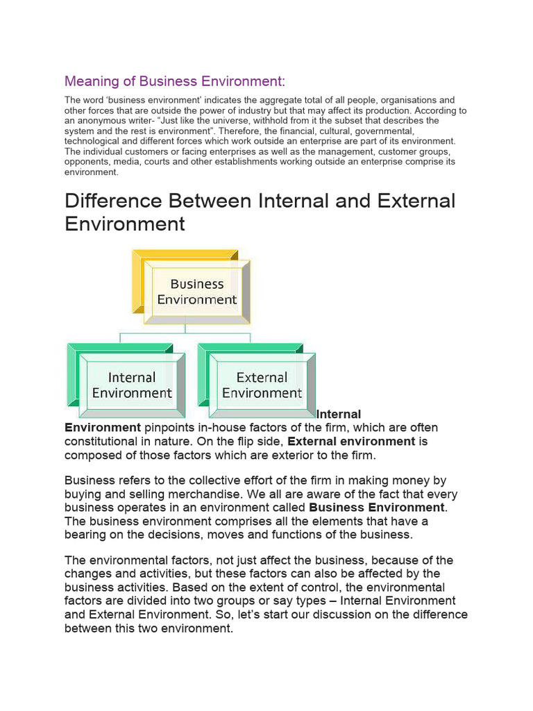 INTRO Business Environment | PDF
