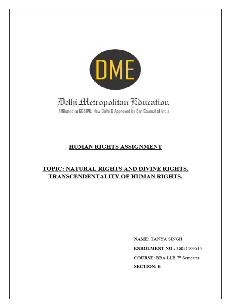 Human Rights Assignment | PDF