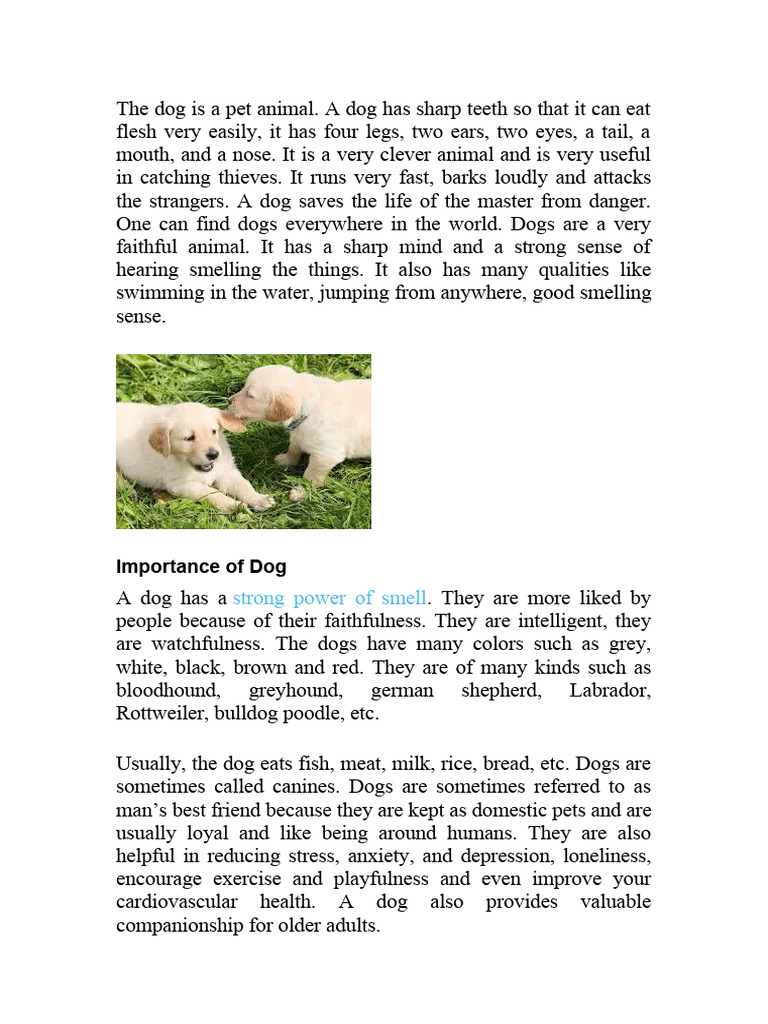 New DOC Document | Download Free PDF | Dogs | Pet