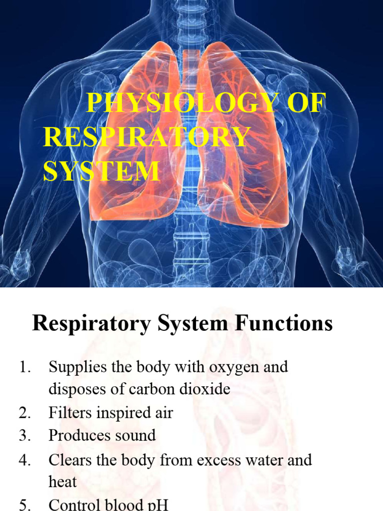 Respiratory System Physiology Pdf Pdf Exhalation Breathing