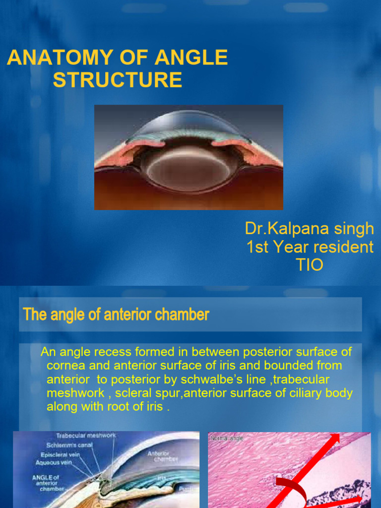 Angle Structures | PDF | Wellness | Science & Mathematics