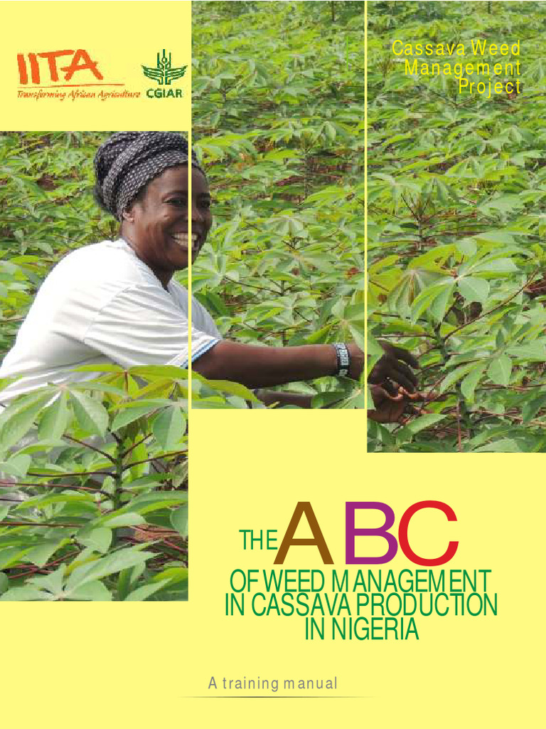 Weeds Management in Cassava 2017 Atser | PDF | Herbicide | Weed