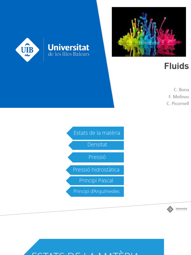 Tema 2 Fluids | PDF