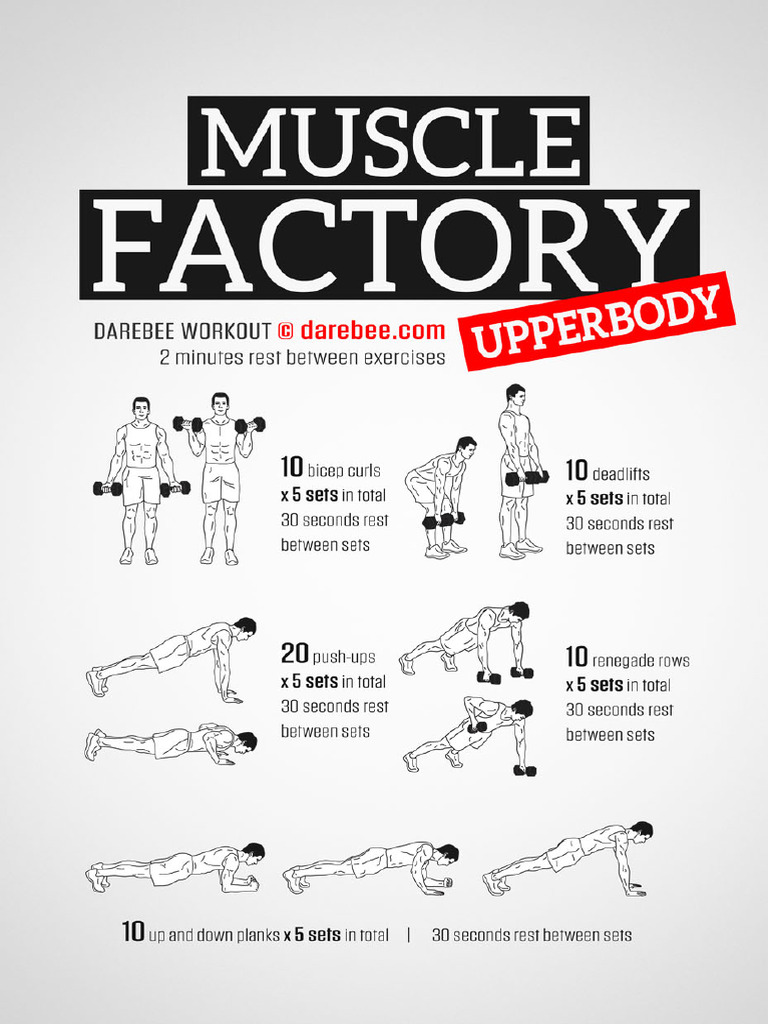 Muscle Factory Upperbody Workout | PDF