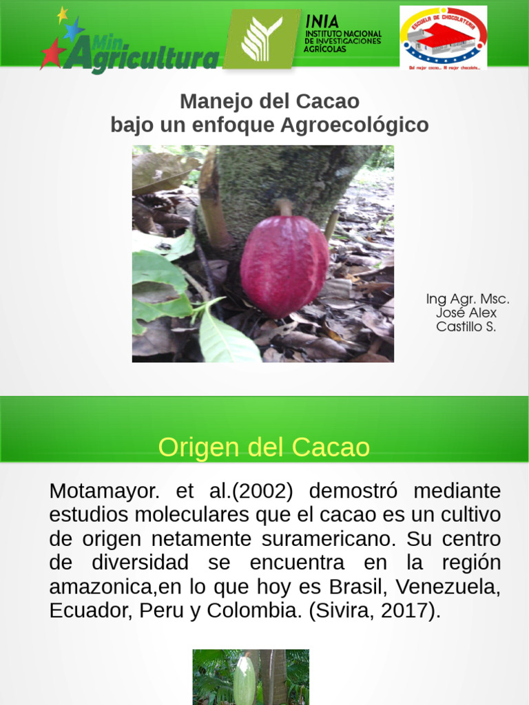Manejo Agroecologico Del Cacao Alex Castillo Marz 2022 | PDF