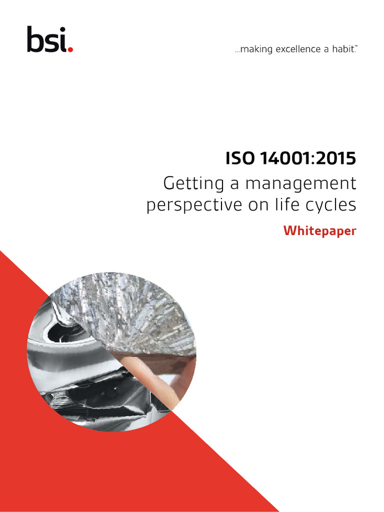 ISO 14001 Lifecycle Whitepaper FINAL | PDF
