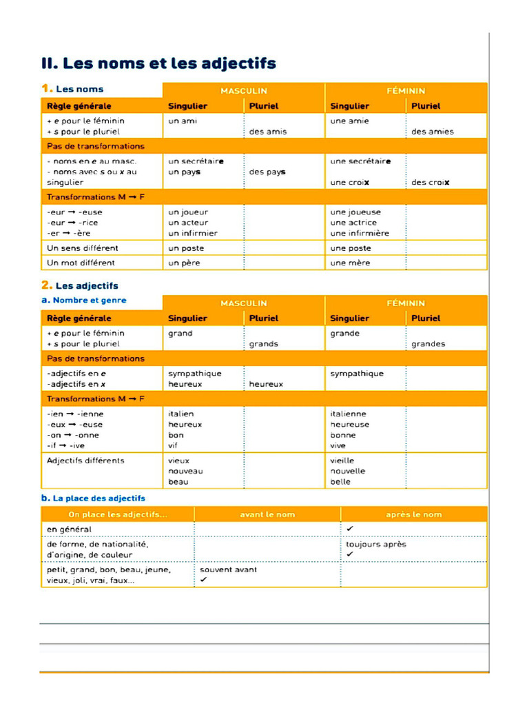 Les Nom Et Les Adjectives | PDF