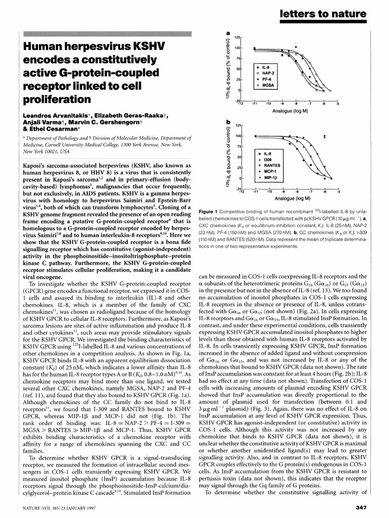 1997 Arvanitakis Nature | PDF