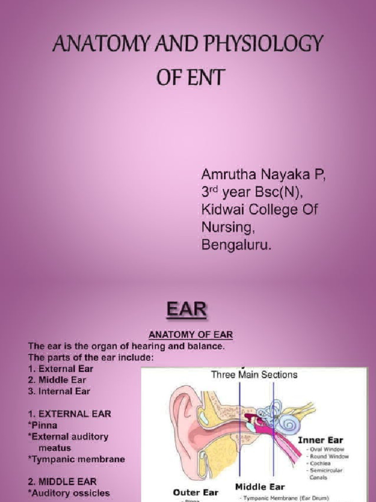 Anatomy and Physiology of Ent - From - M - App Android | PDF