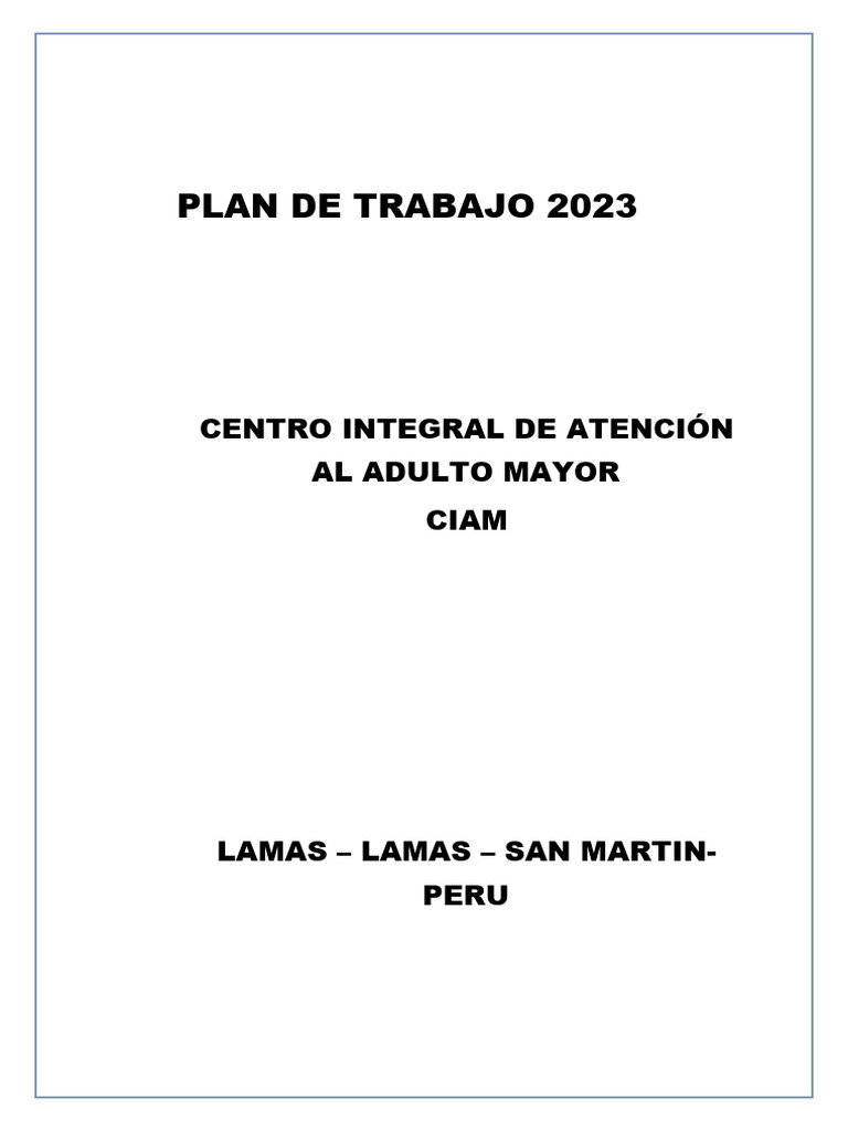 Plan de Trabajo 2023-Ciam | PDF | Adultos | Vejez