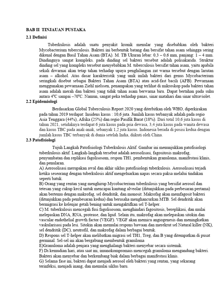 Lapsus TB Paru | PDF