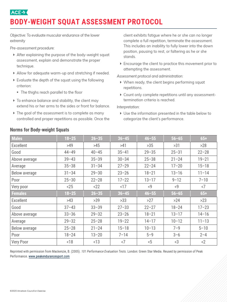37 Bodyweight Squat Assessment Protocol | PDF