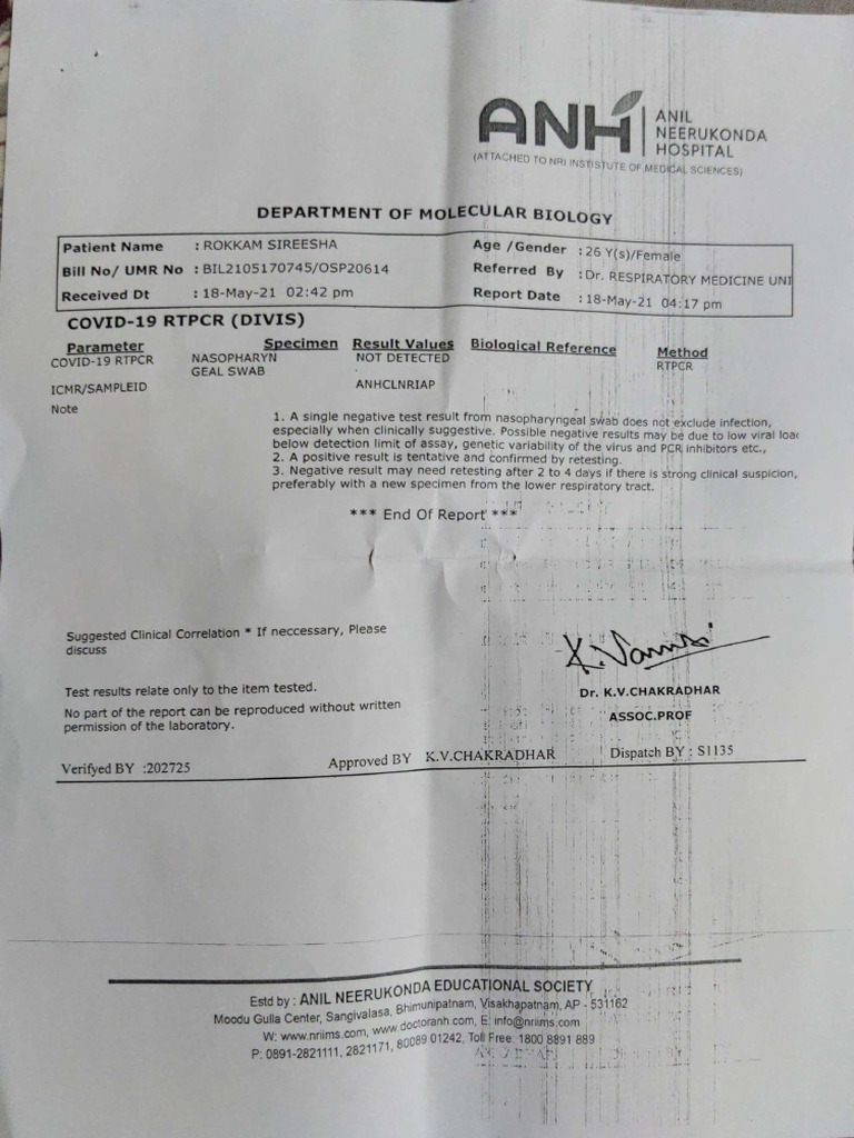 Document WPS Office | PDF