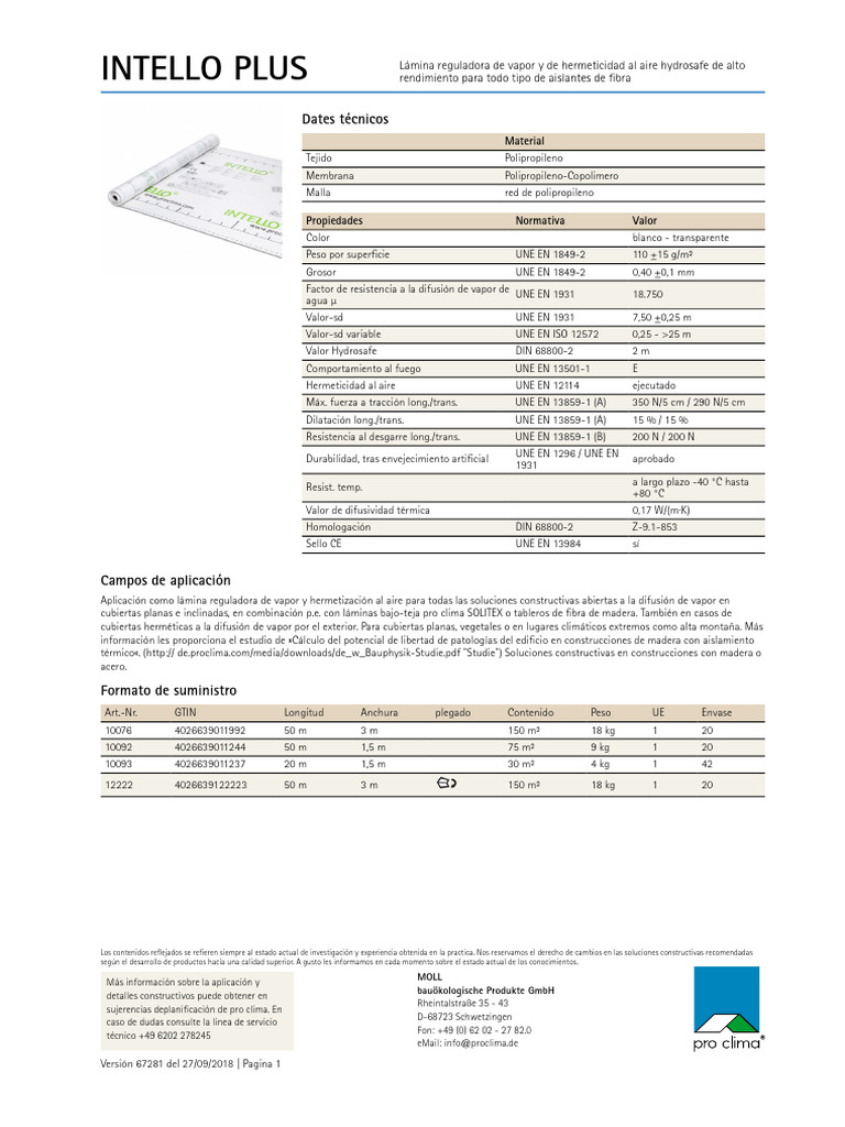 Ficha Intello Plus 1 | PDF