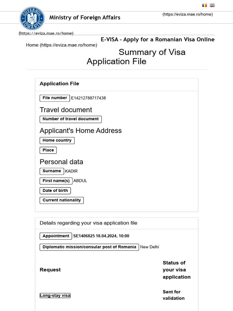 Understanding Your Romanian E-Visa Status | PDF