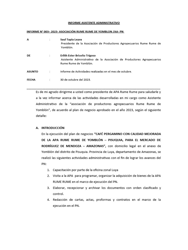 Informe Asistente Administrativo | PDF