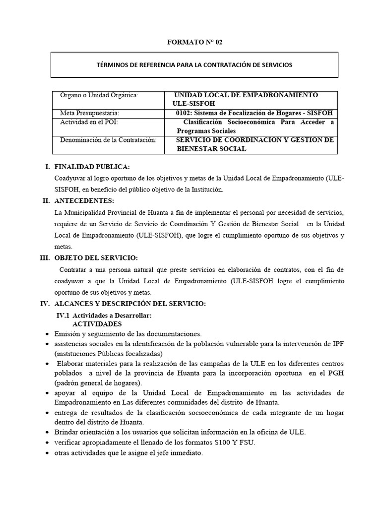 Modelo de TDR | Descargar gratis PDF | Impuestos | Informática