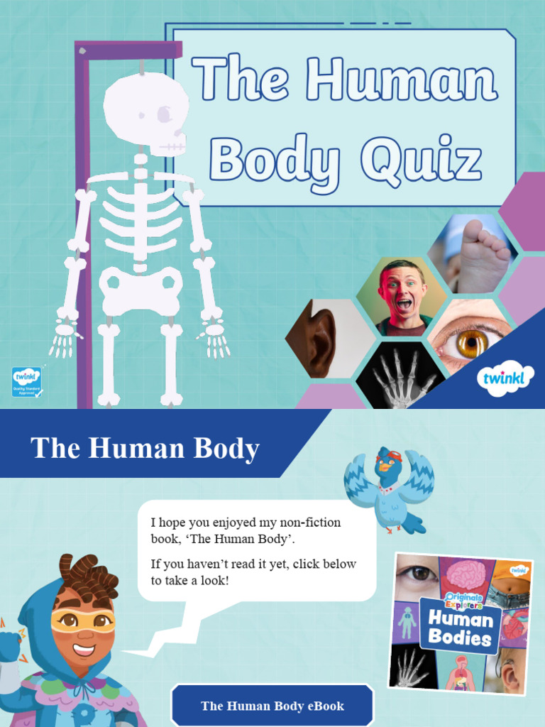 T SC 1679932521 The Human Body Quiz Powerpoint Ver 2 | PDF | Heart | Blood