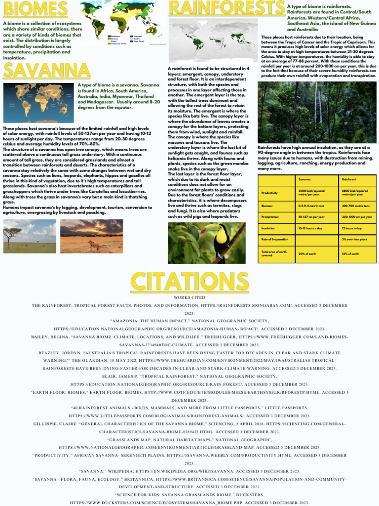 Biome Project JH (2) | PDF | Rainforest | Canopy (Biology)