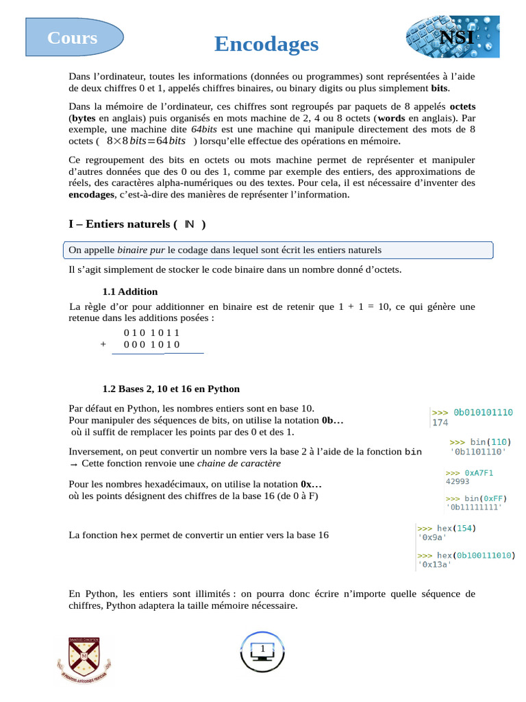Introduction aux Encodages Binaires | PDF | ASCII | Codage des caractères