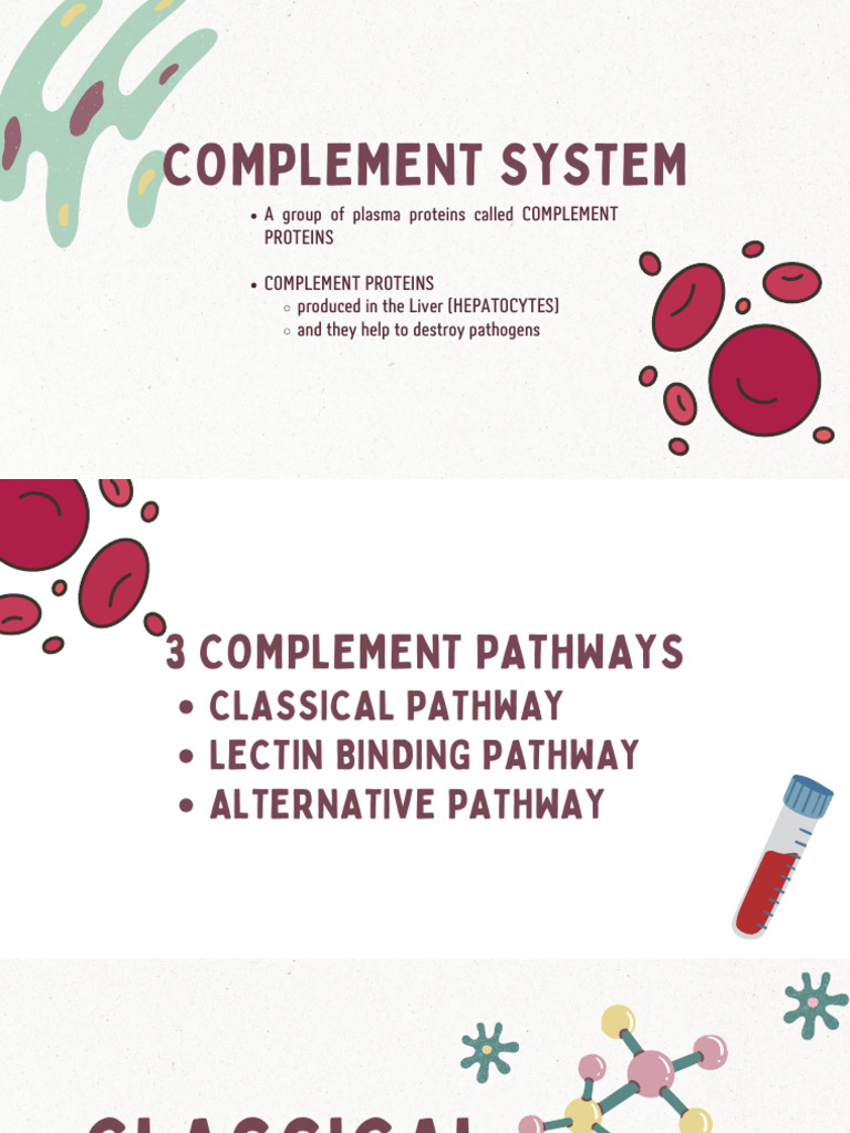 Complement And Clotting Cascade Pdf