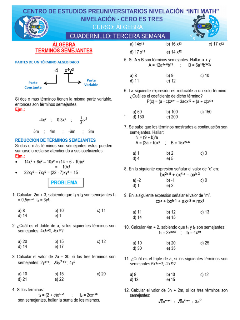 Términos Semejantes | PDF | Matemáticas