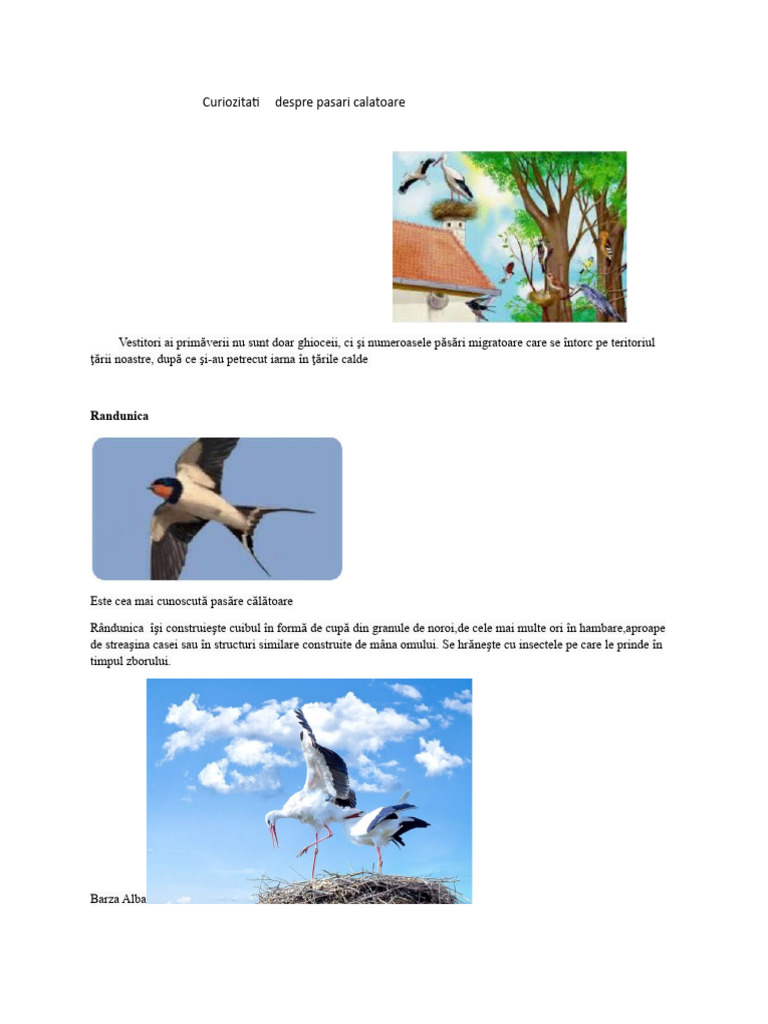 Pasari Calatoare | PDF