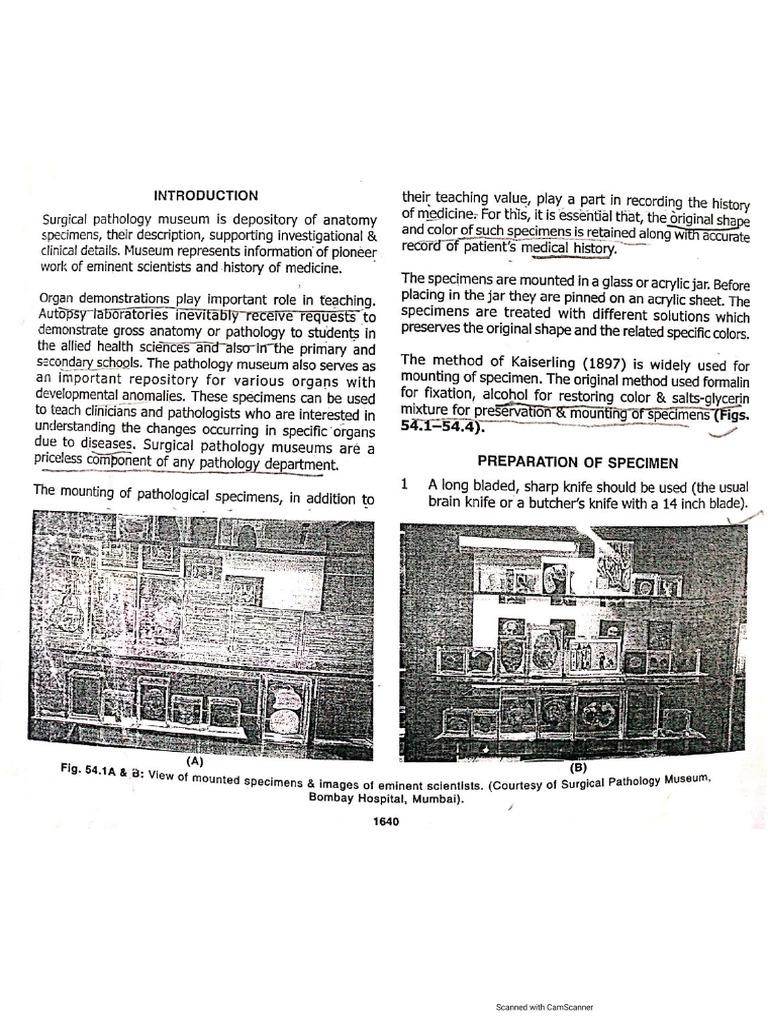 Museum Techniques Pdf