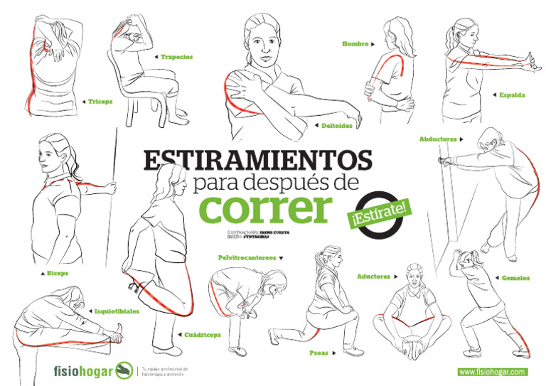 Estiramientos Para Despues de Correr | PDF