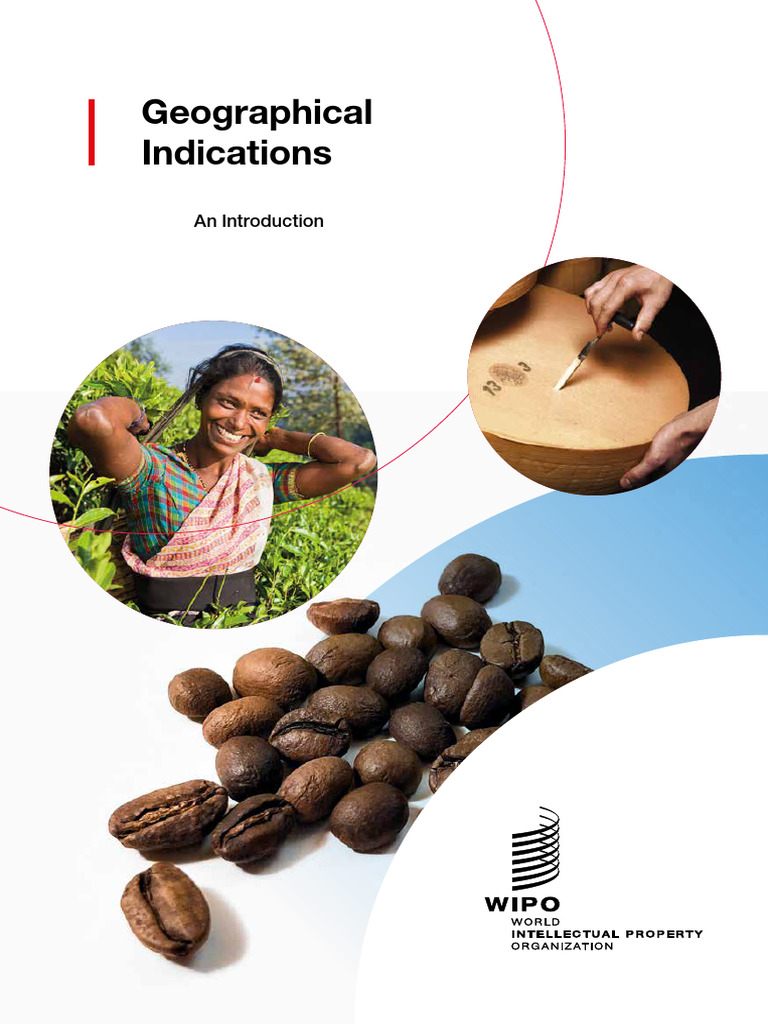 Wipo-Pub-952-2021-En-Geographical-Indications-An-Introduction-2nd ...