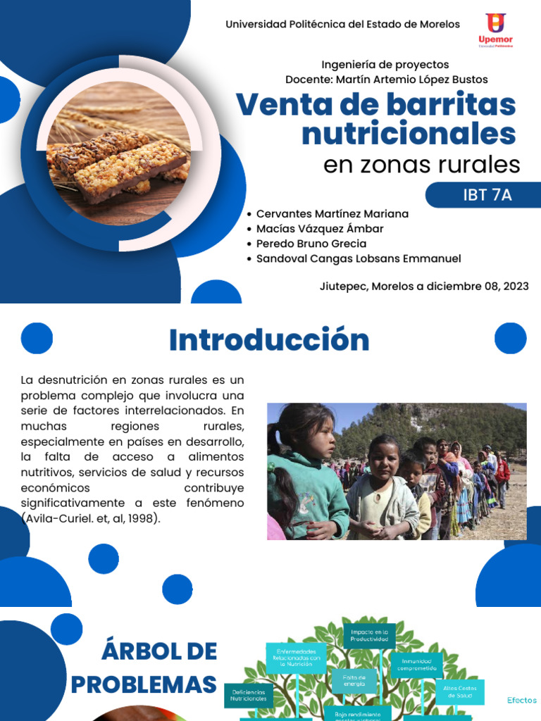 Venta de Barritas Nutricionales - en Zonas Rurales - Presentación | PDF | Presupuesto | Economias