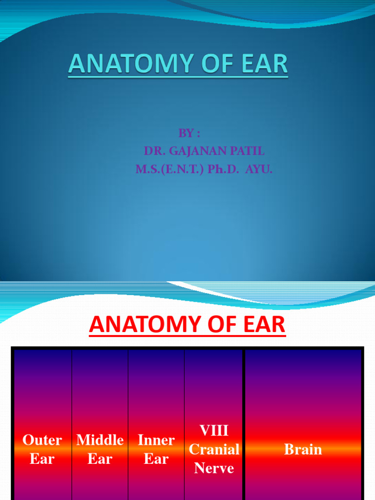 Anatomy of Ear Final | PDF | Ear | Auditory System
