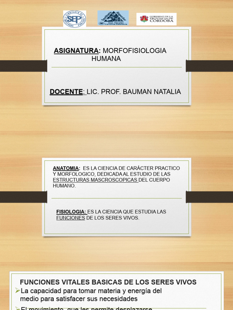 CLASE MORFO Primer Power | PDF | Hueso | Anatomía